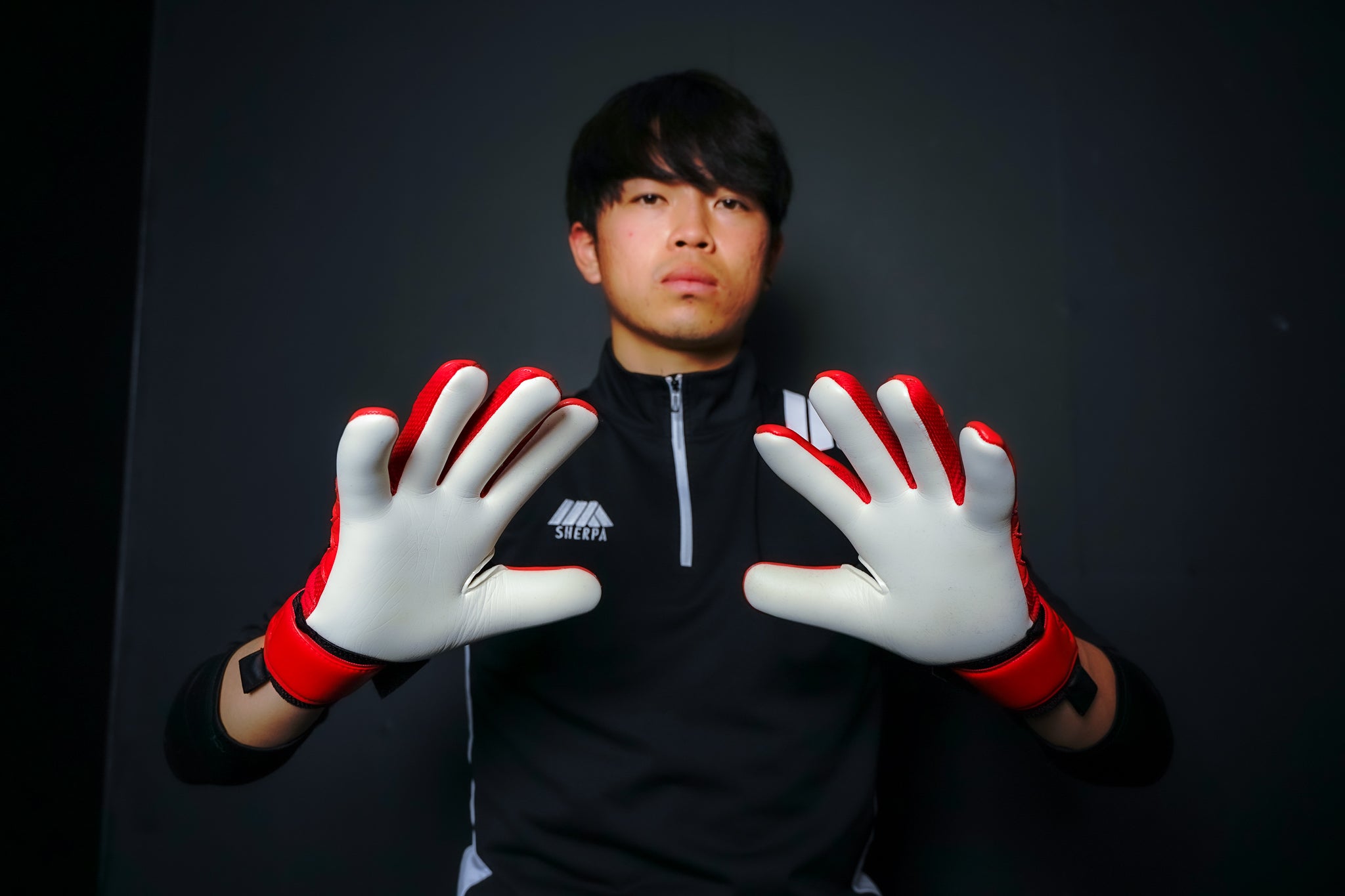 ENGINE (Red) – SHERPA